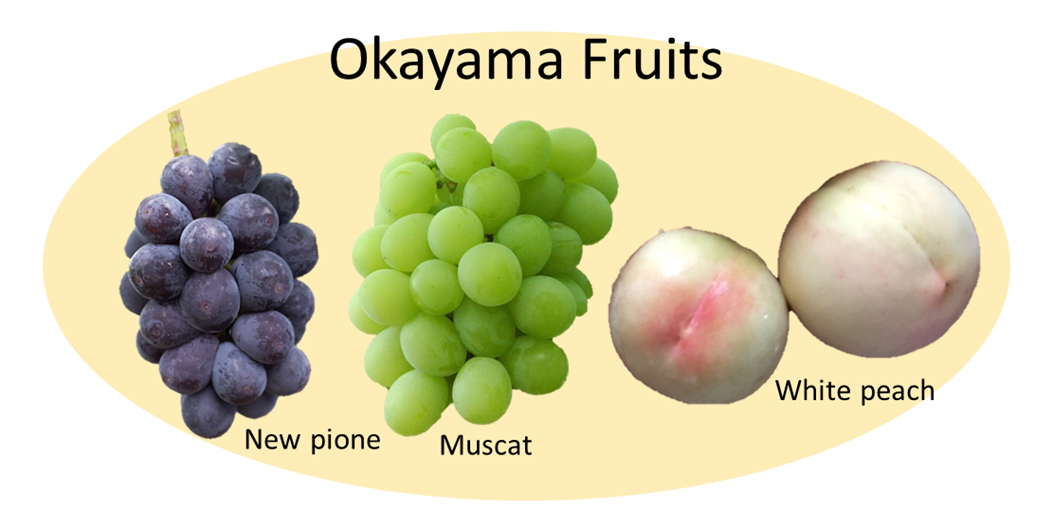 Okayama Fruits Kingdom – PPI Okayama